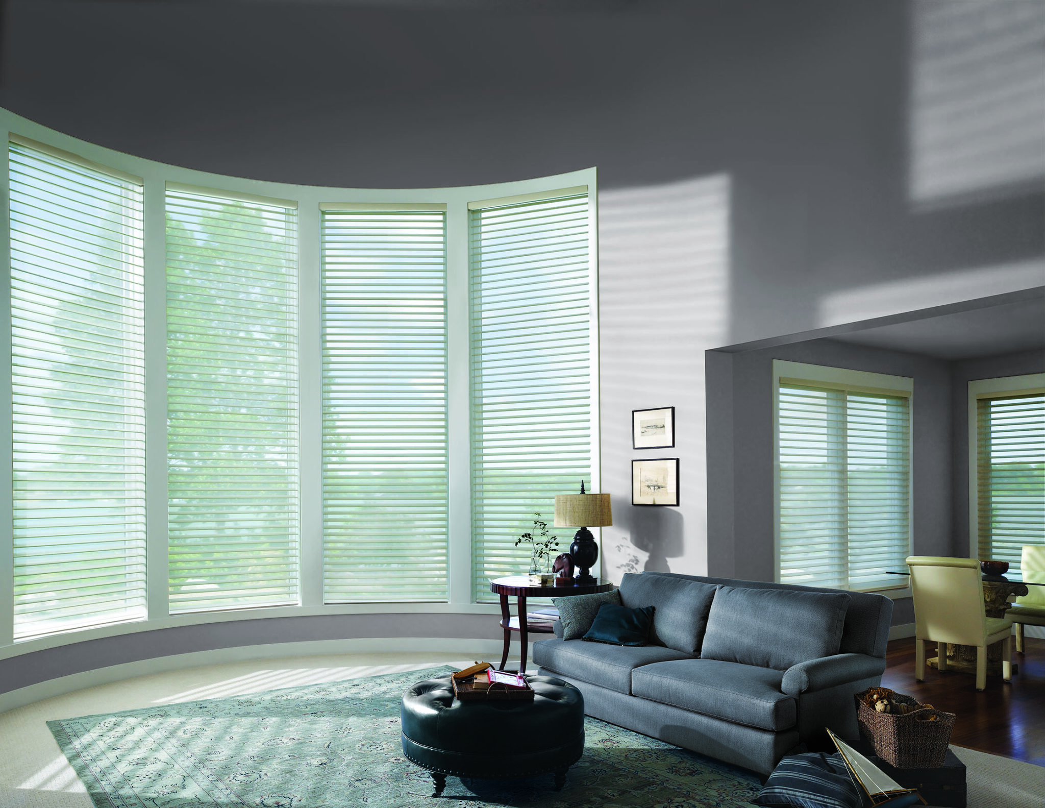 Elegant Roller Shades - Shutter Guys